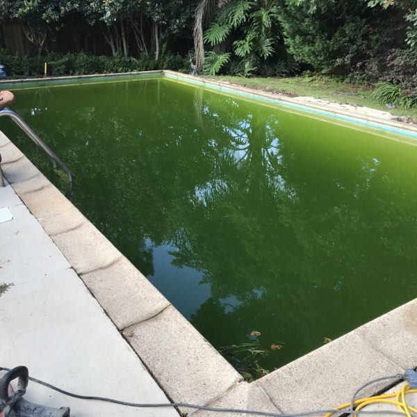 Lake Vista swimming pool remodel - Crystal Pools and Spas